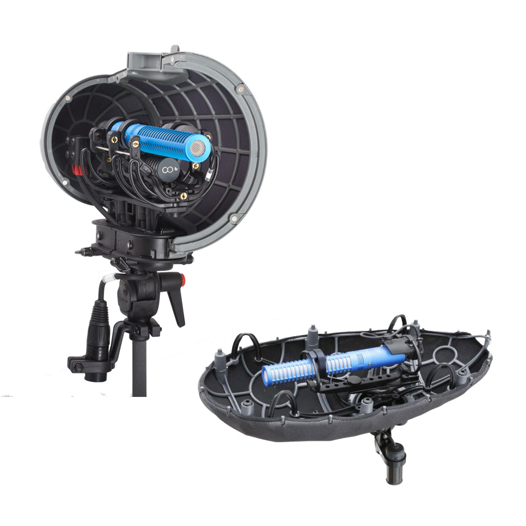 Double MS | SCHOEPS Microphones